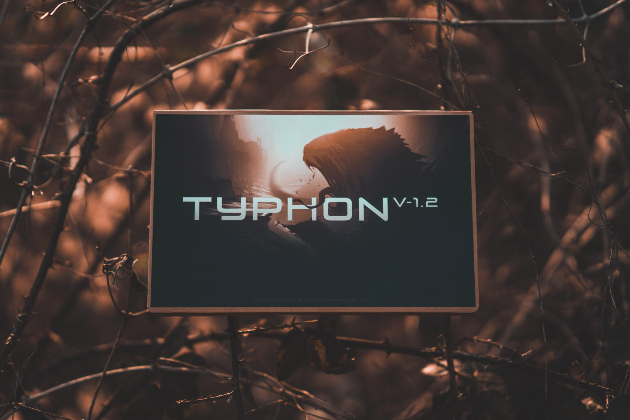 Project: Typhon – Dantes Workshop